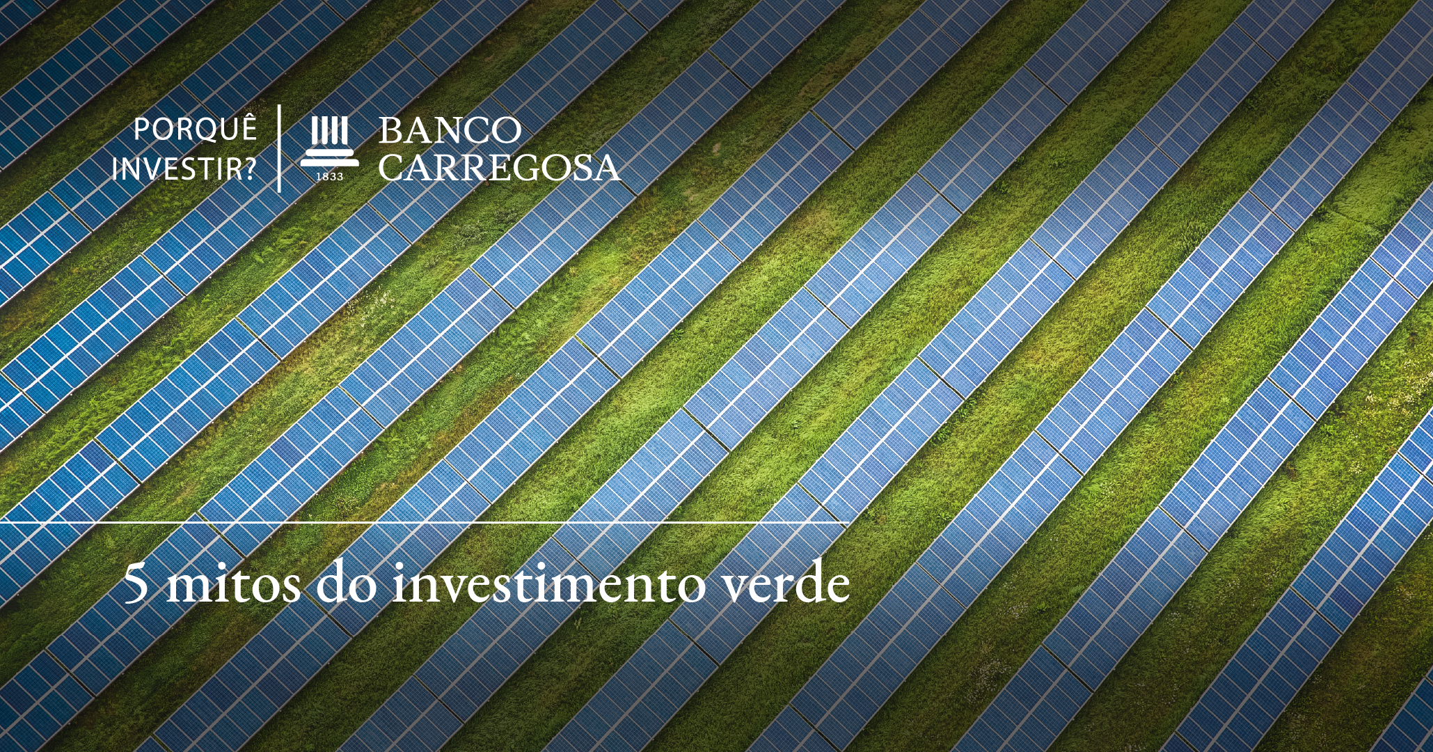 5 mitos do investimento verde - Banco Carregosa